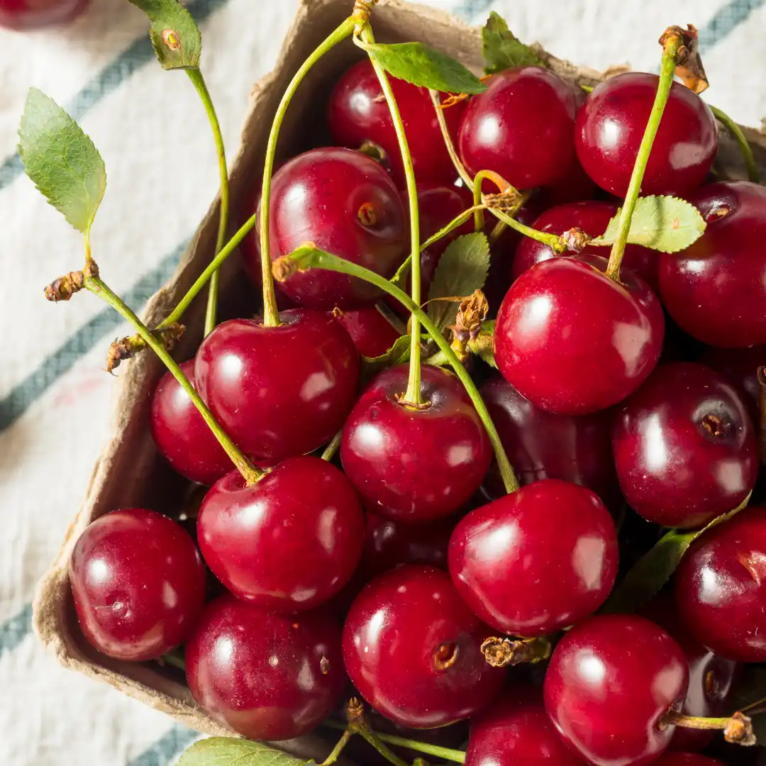 Fresh Tart Cherries (Grown Regeneratively)